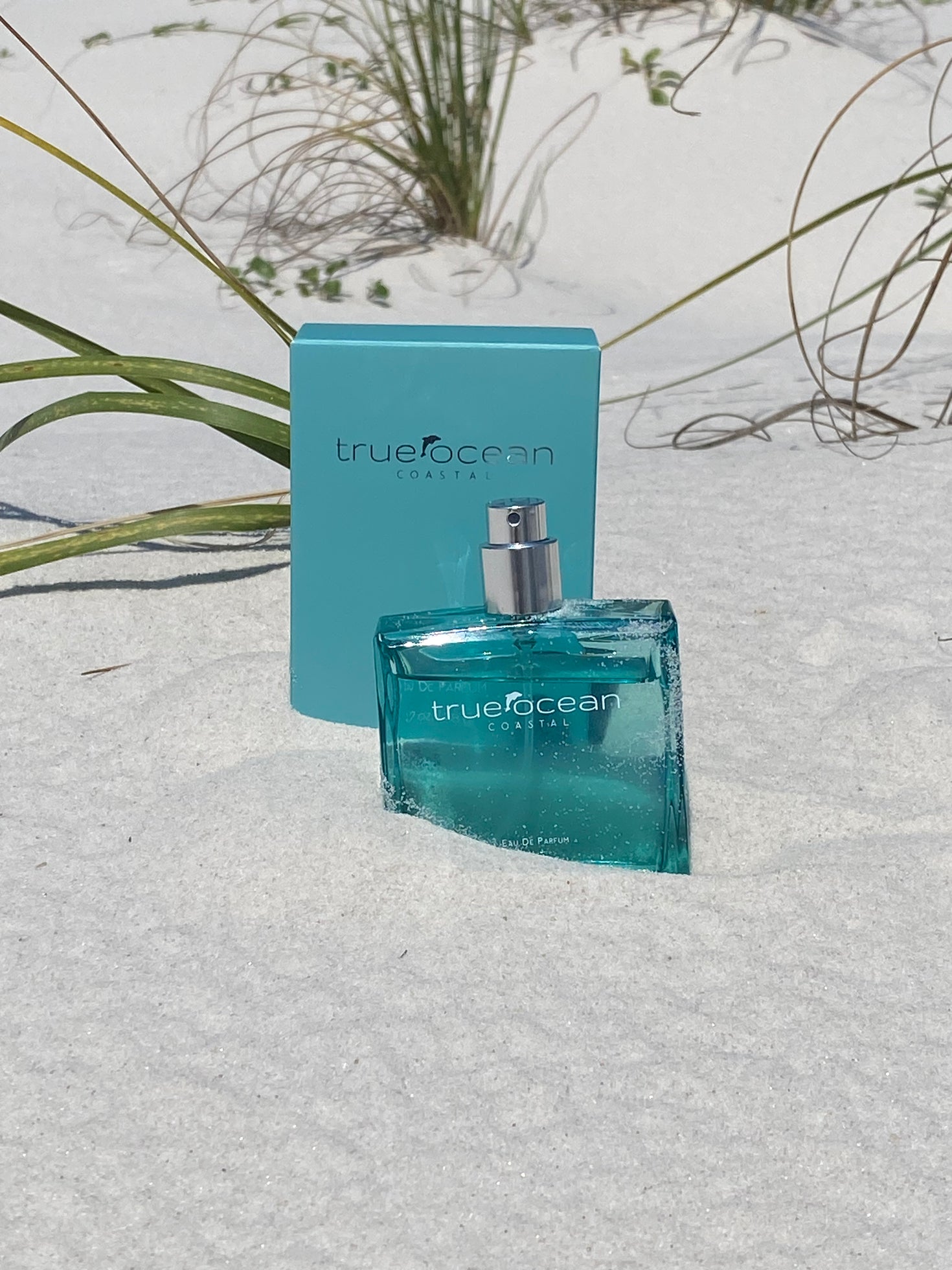 Coastal - a Beach Perfume – True Ocean