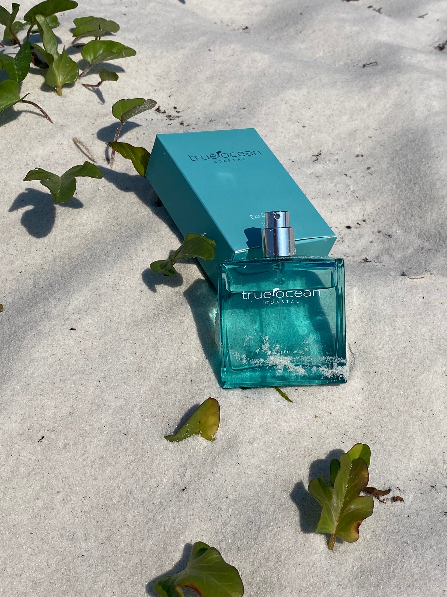 Coastal - a Beach Perfume – True Ocean
