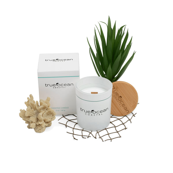 Beach perfume, body, and fragrance for the coastal lifestyle – True Ocean